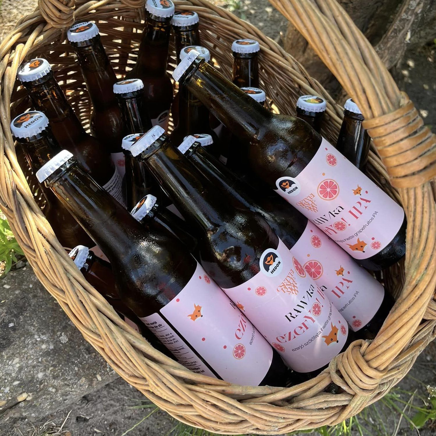 Raw/ka EzerYO IPA by Csetvei & Hedon - Hungarianwines